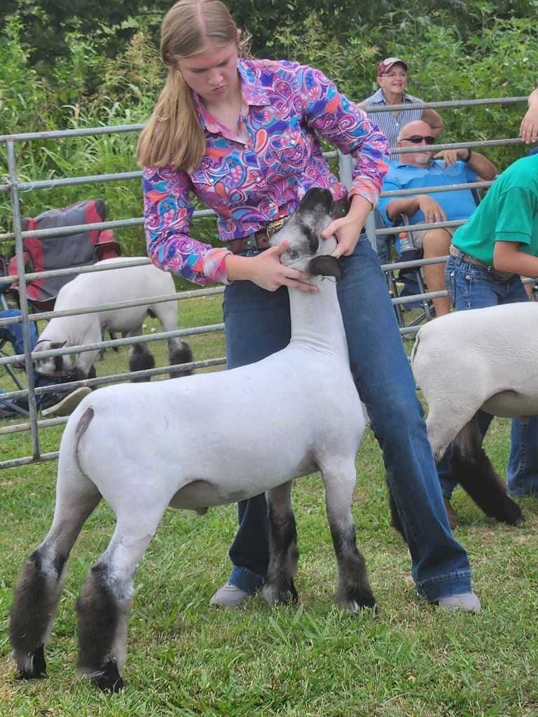 Live Feed | Westside High School